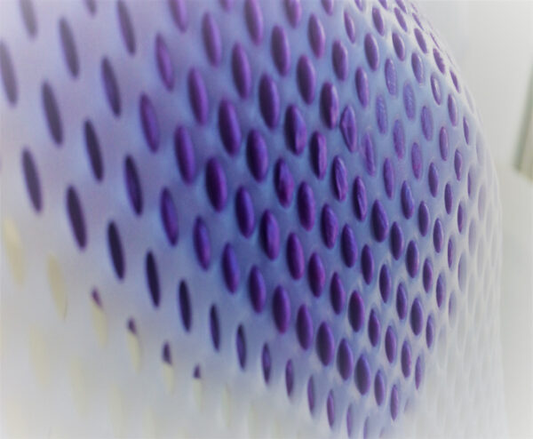 eXaSkin Plus - Anatge